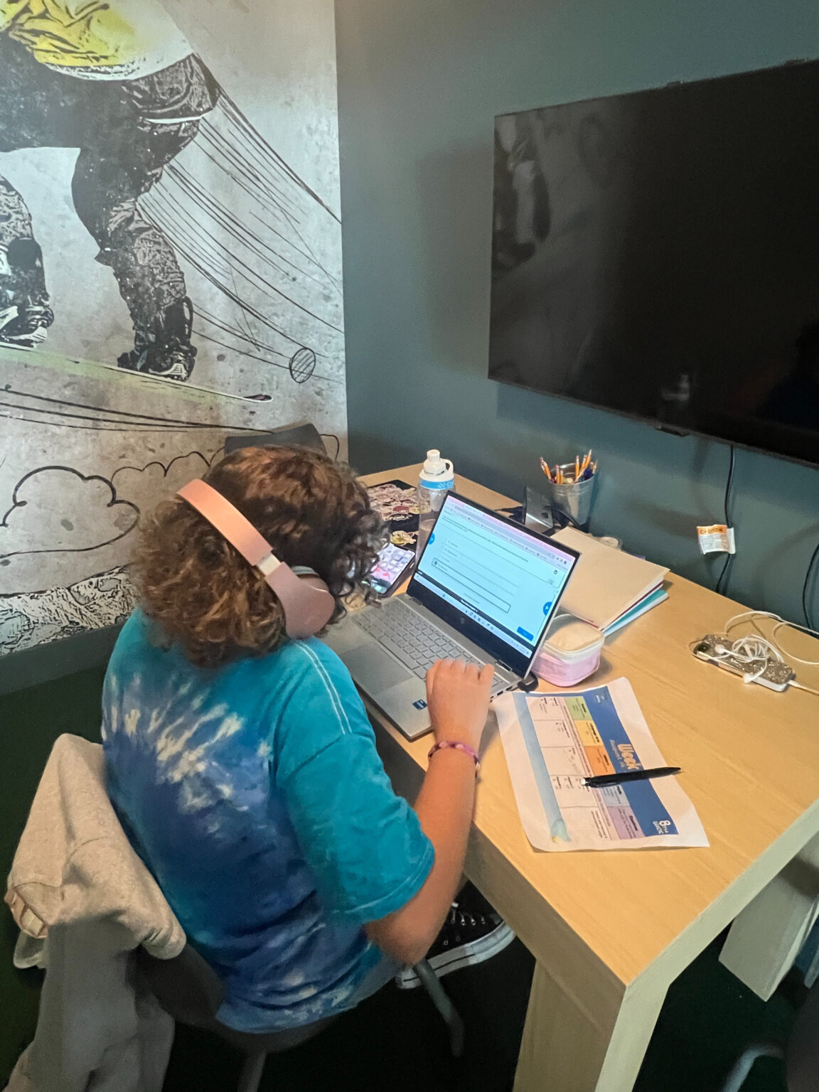 Virtual Learning Hub - The Study Lounge